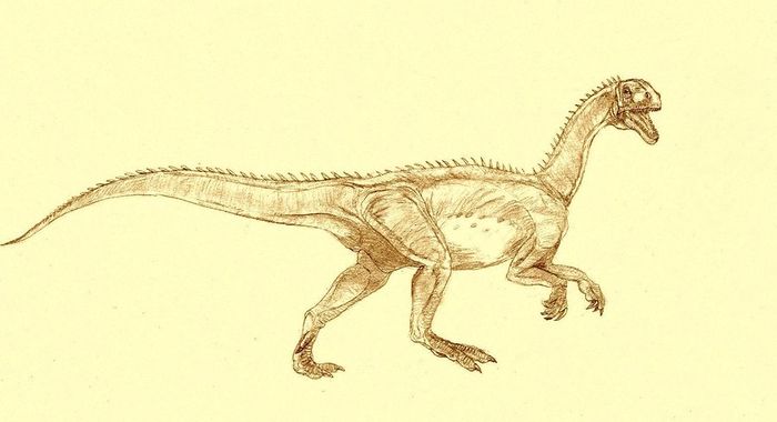 Unaysaurus – Encyklopedia Dinozaury.com