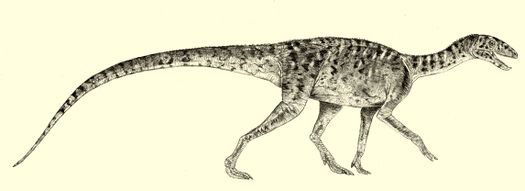 Silesaurus – Encyklopedia Dinozaury.com