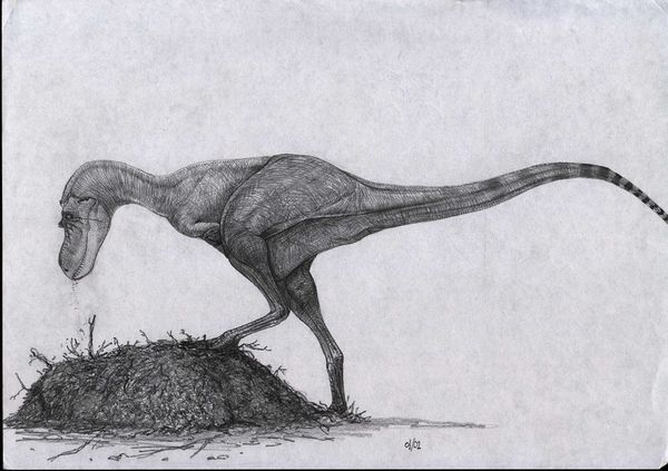 Gorgosaurus – Encyklopedia Dinozaury.com