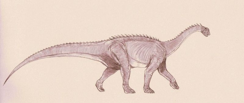 Kotasaurus – Encyklopedia Dinozaury.com