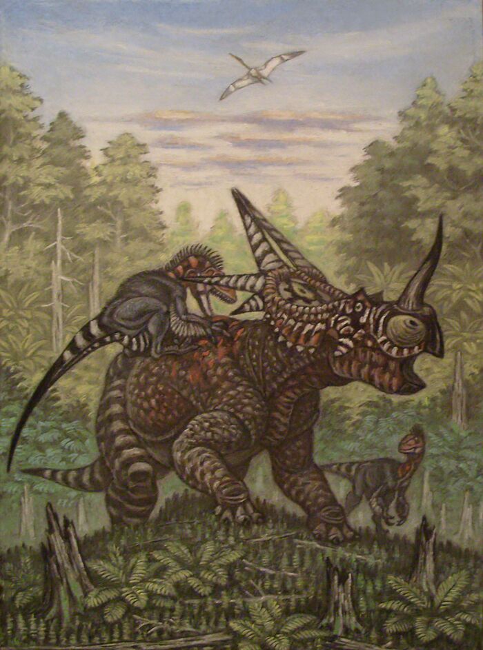 Styracosaurus – Encyklopedia Dinozaury.com