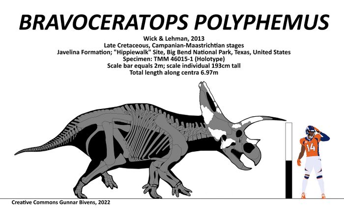 Bravoceratops – Encyklopedia Dinozaury.com