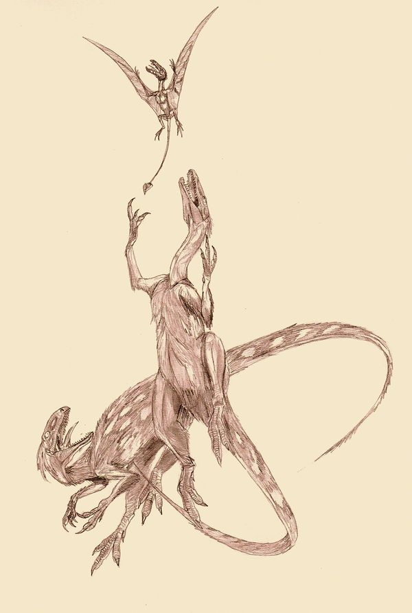 Panguraptor – Encyklopedia Dinozaury.com