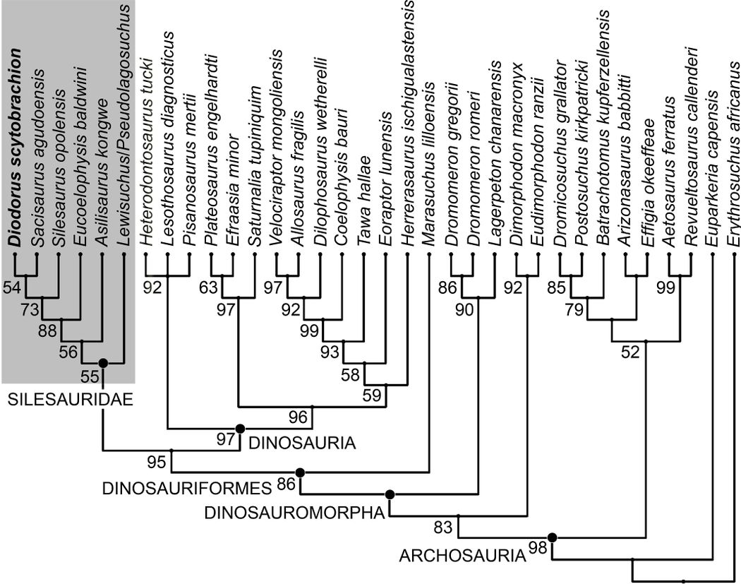 Silesauridae – Encyklopedia Dinozaury.com
