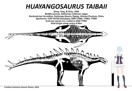 Huayangosaurus – Encyklopedia Dinozaury.com